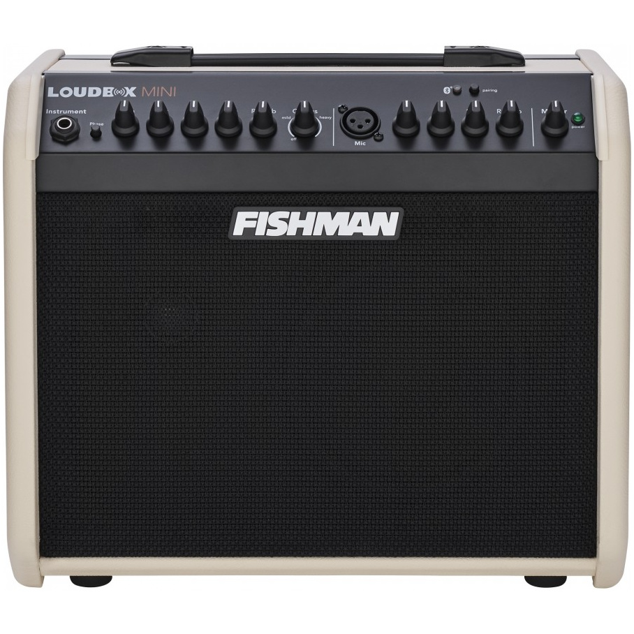 Fishman Loudbox Mini Bluetooth Special Edition Cream – Hickies Music